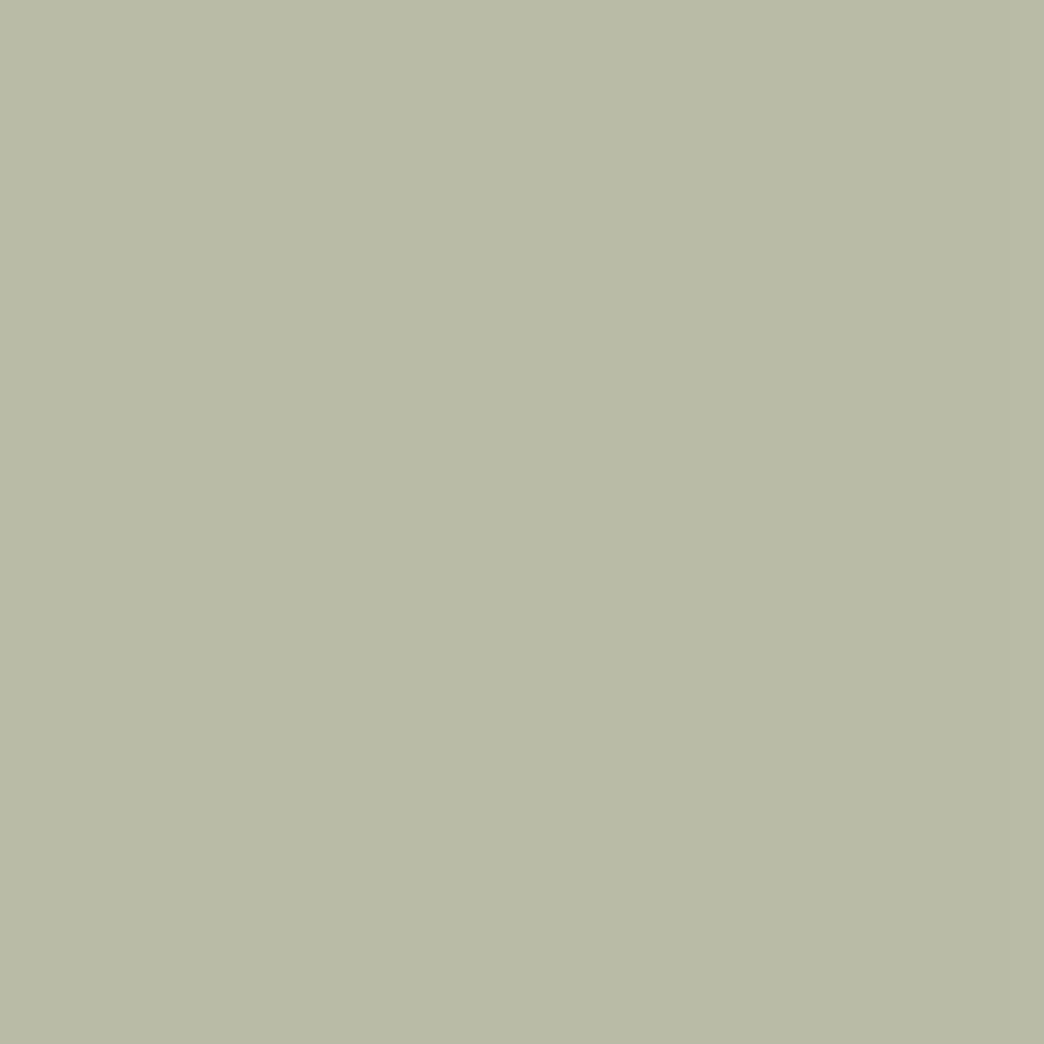Vert De Terre - No. 214 – Cox Paint