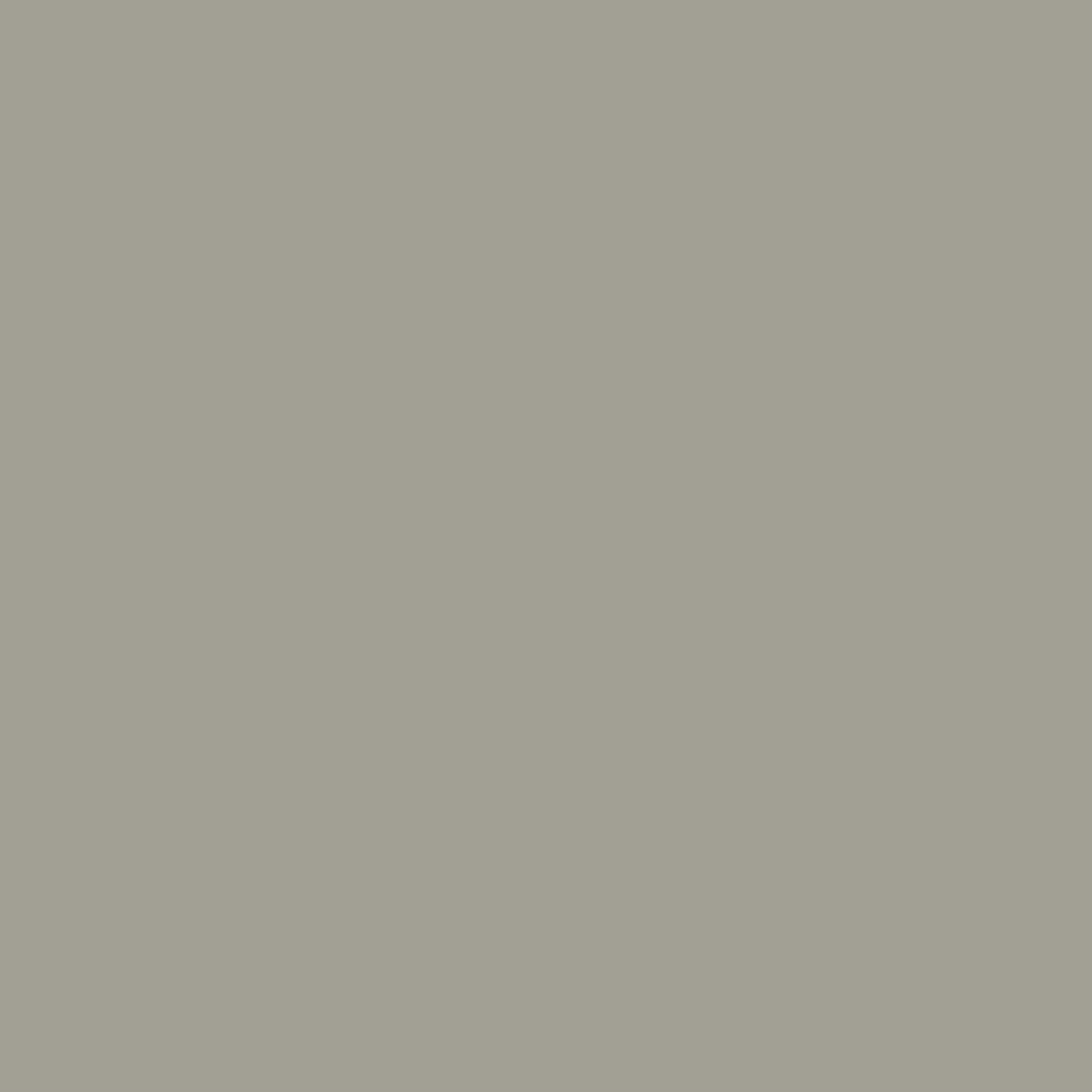 Benjamin Moore Pigeon Grey Freshly Painted In Pigeon Grey By Benjamin